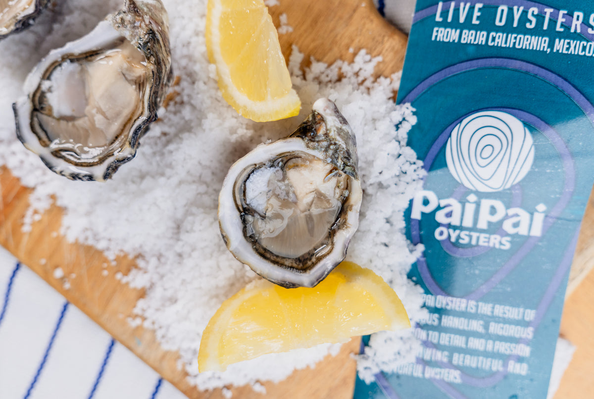 Baja Shellfish Oysters – The Shellfish Affair